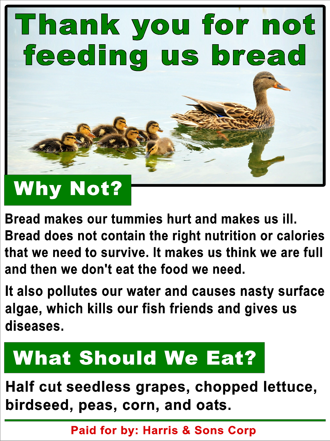 Thank you for Not Feeding Us Bread Duck Sign – Signs by SalaGraphics